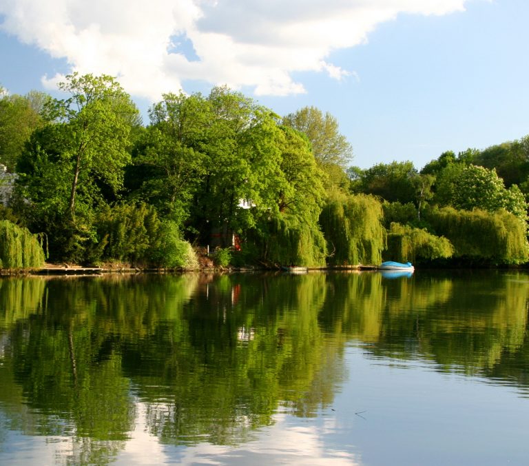 Première balade et réunion publique sur les bords de Marne pour lancer ...